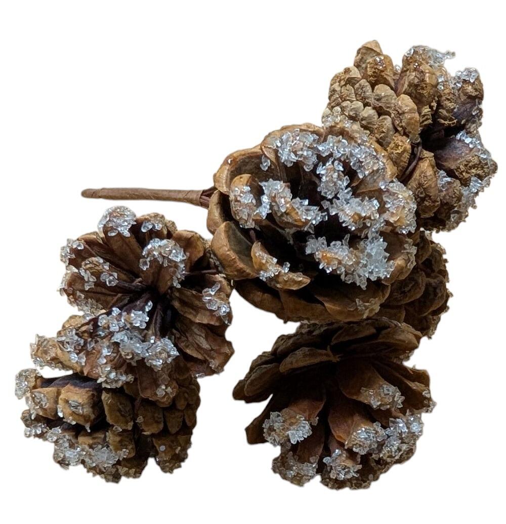Christmas Pine Cone Pick 14cm