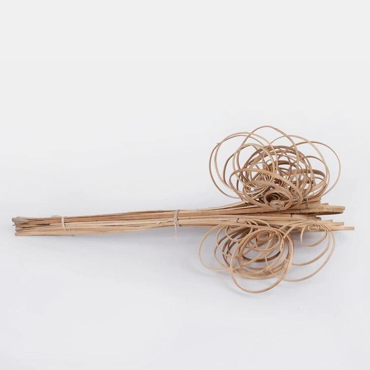 Dried Cane Coil Stem 45cm