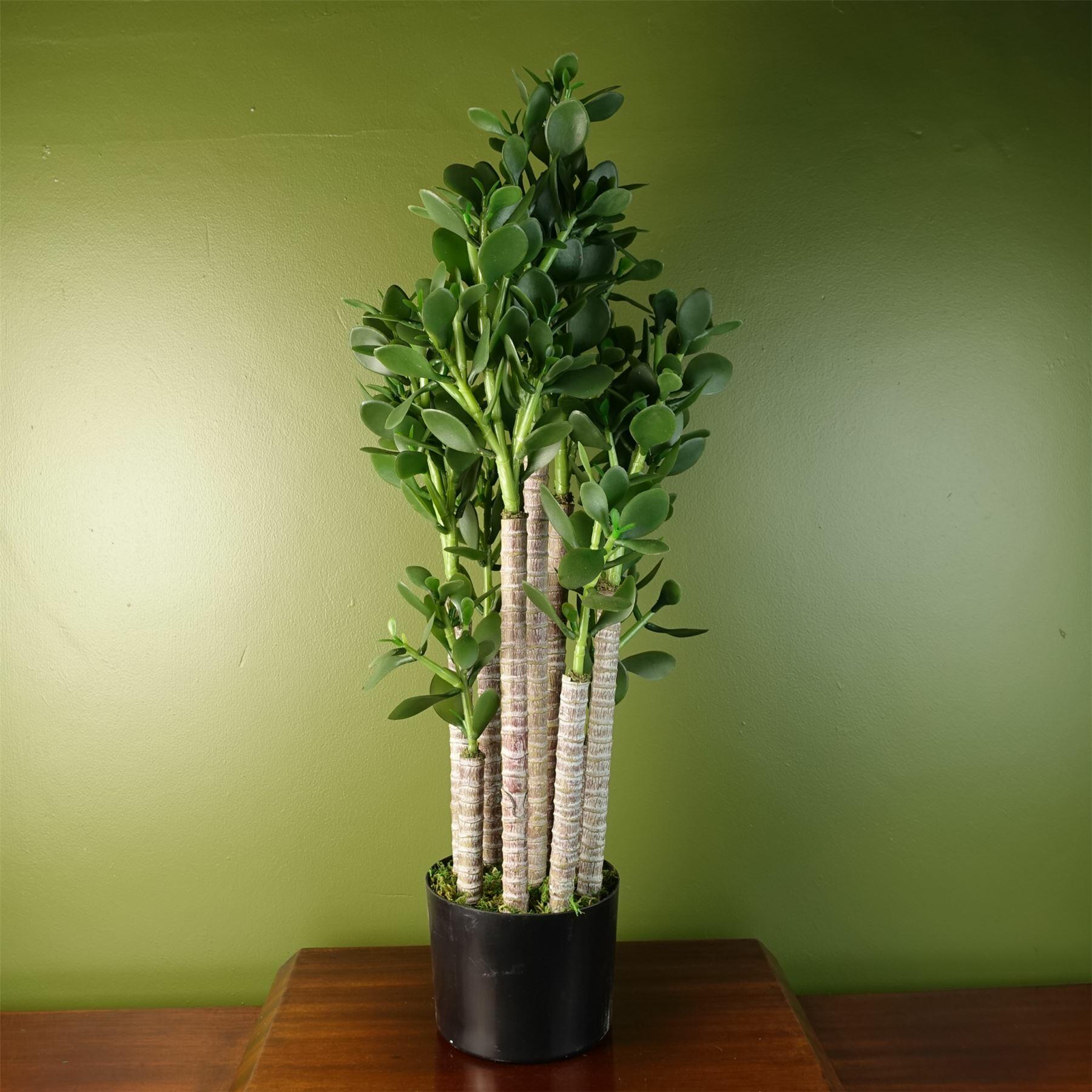 Artificial 75cm Green Jade Plant