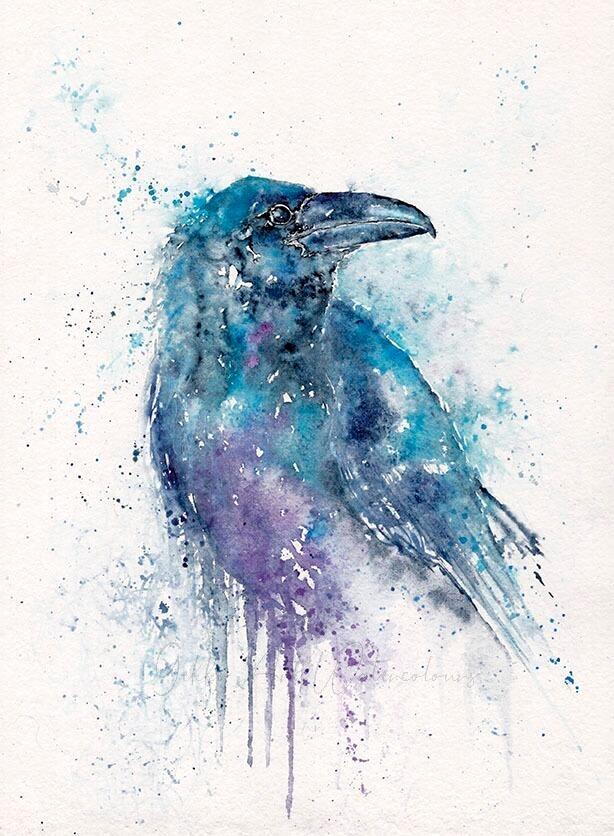 Raven Painting | Original Wildlife Art | Watercolour Artist Sandi Mower