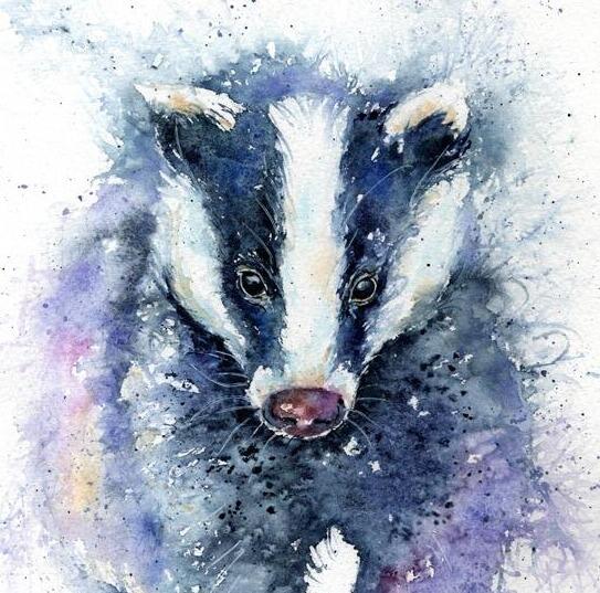 Badger Watercolour Painting | Original Wildlife Art | Watercolour ...