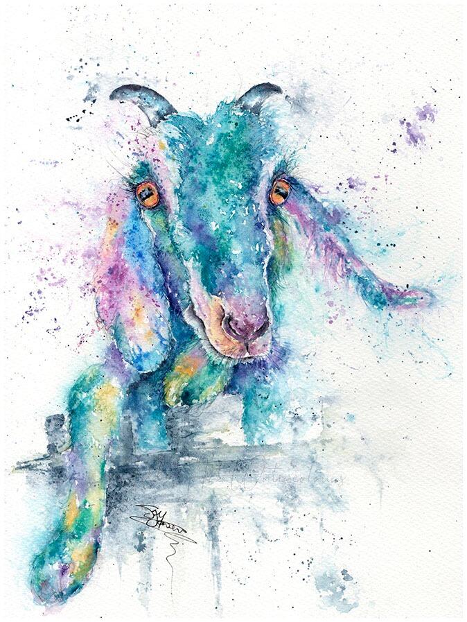 Goat Watercolour Painting | Original Wildlife Art | Watercolour Artist ...