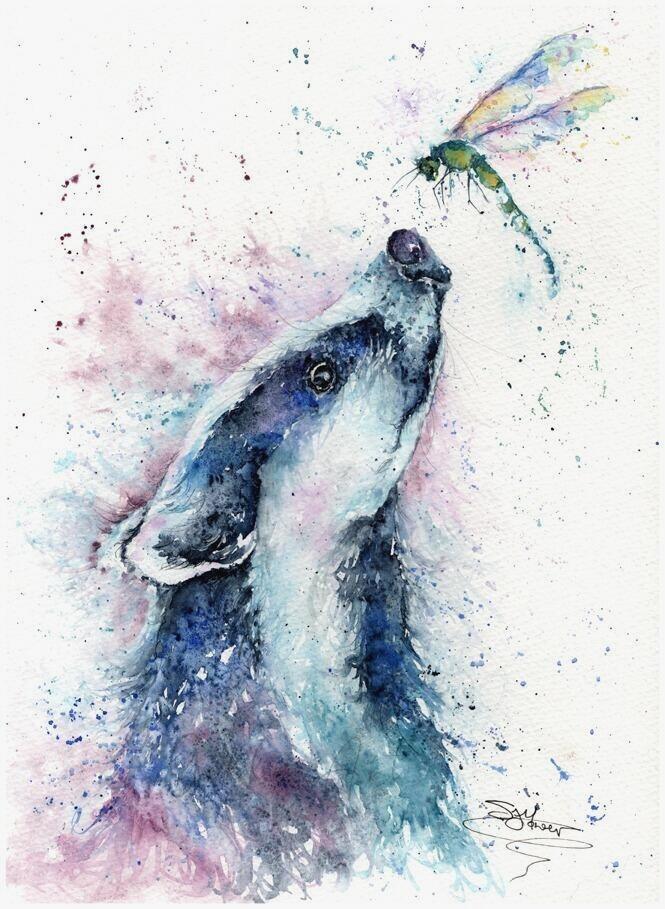 Badger and Dragonfly Watercolour Painting | Original Wildlife Art ...