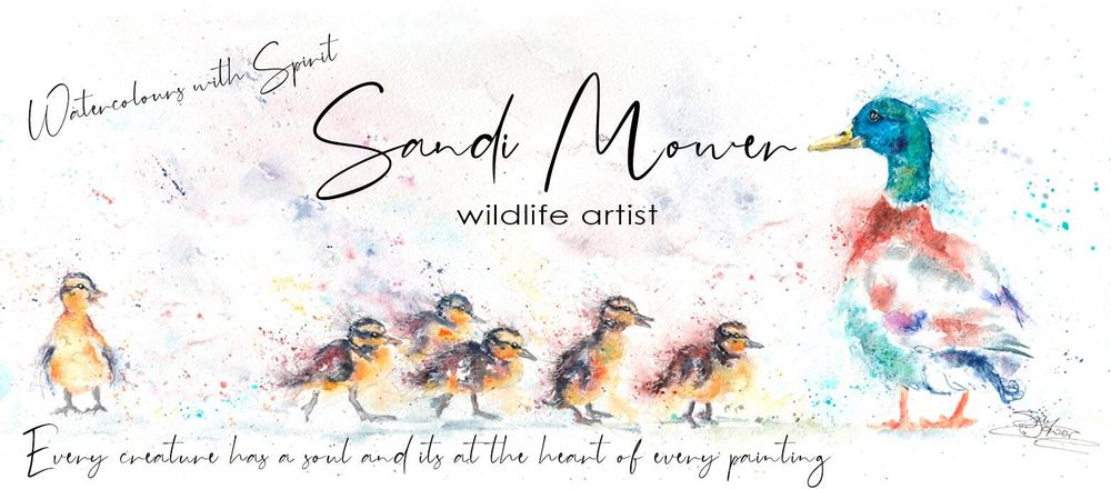 Gekko Art - Wildlife Paintings by Watercolour Artist Sandi Mower