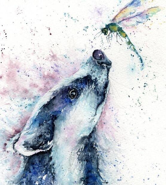 Badger and Dragonfly Watercolour Painting | Original Wildlife Art ...