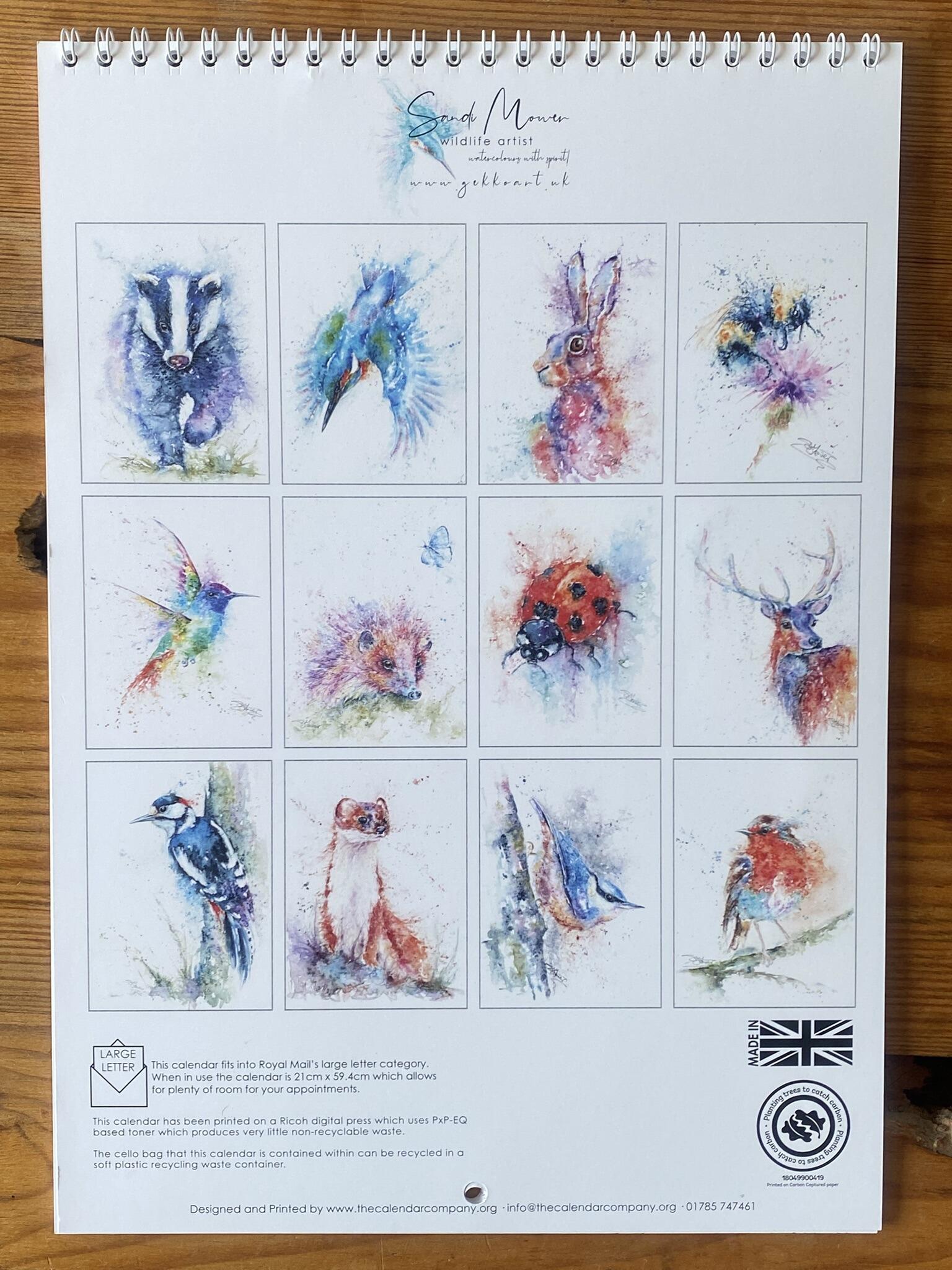 2026 Wildlife Art Calendar by Watercolour Artist Sandi Mower