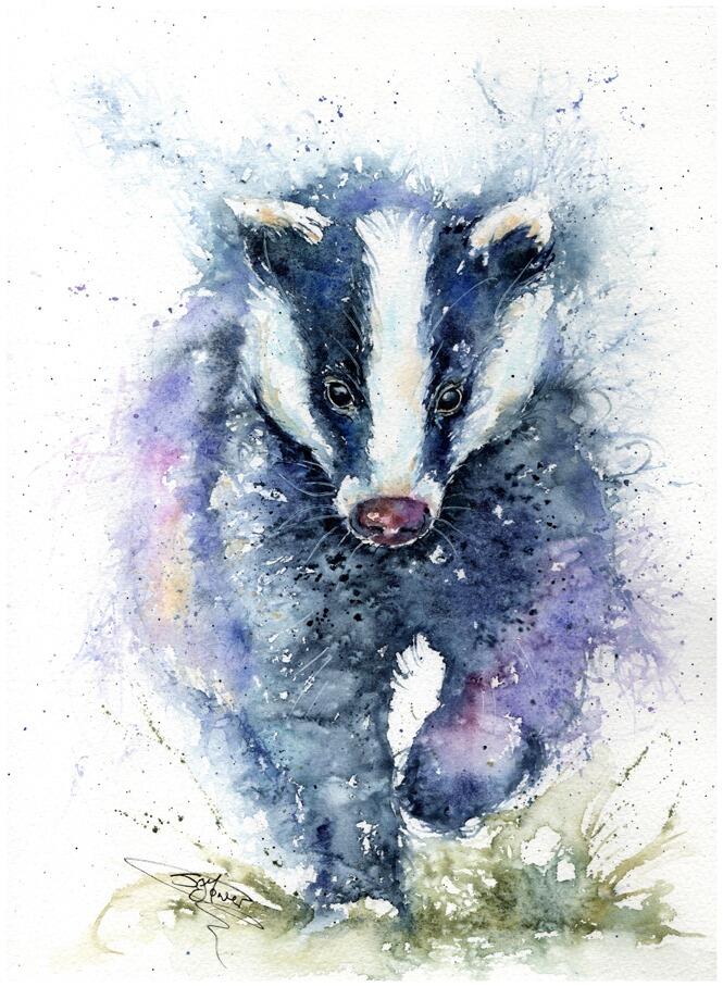 Badger Watercolour Painting | Original Wildlife Art | Watercolour ...
