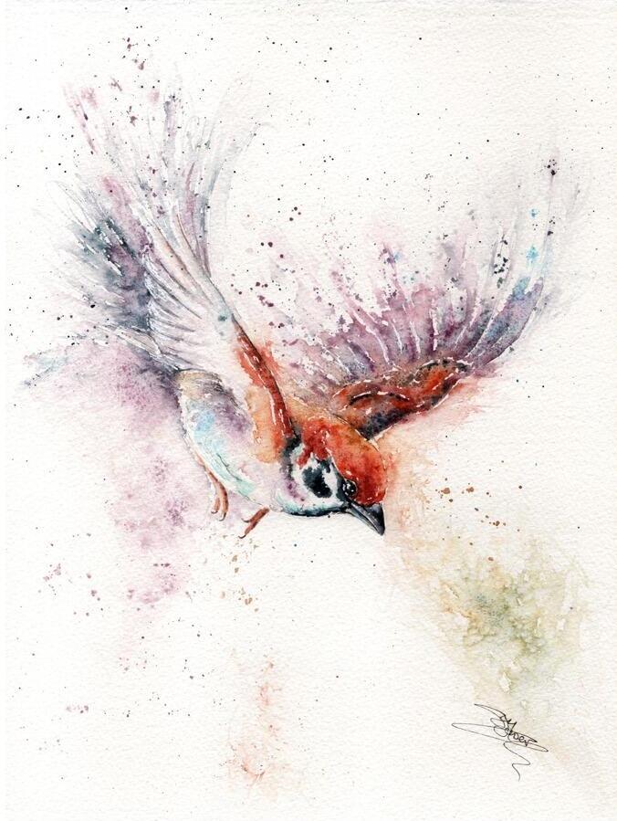 Tree Sparrow | Original Watercolour Painting | Wildlife Artist Sandi Mower