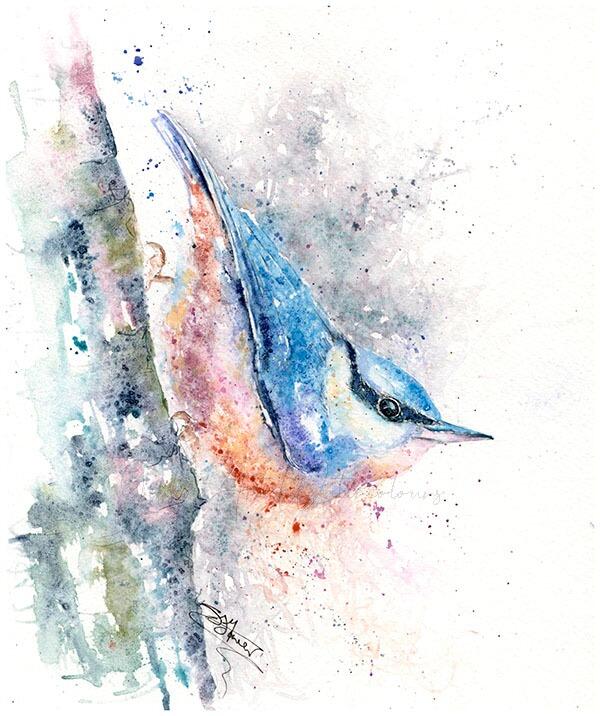 Nuthatch Painting | Original Wildlife Art | Watercolour Artist Sandi Mower
