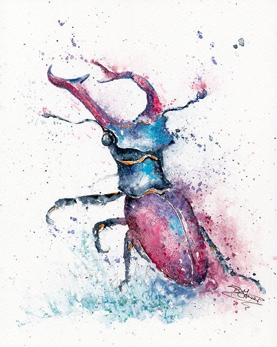 Stag Beetle Painting | Original Wildlife Art | Watercolour Artist Sandi ...