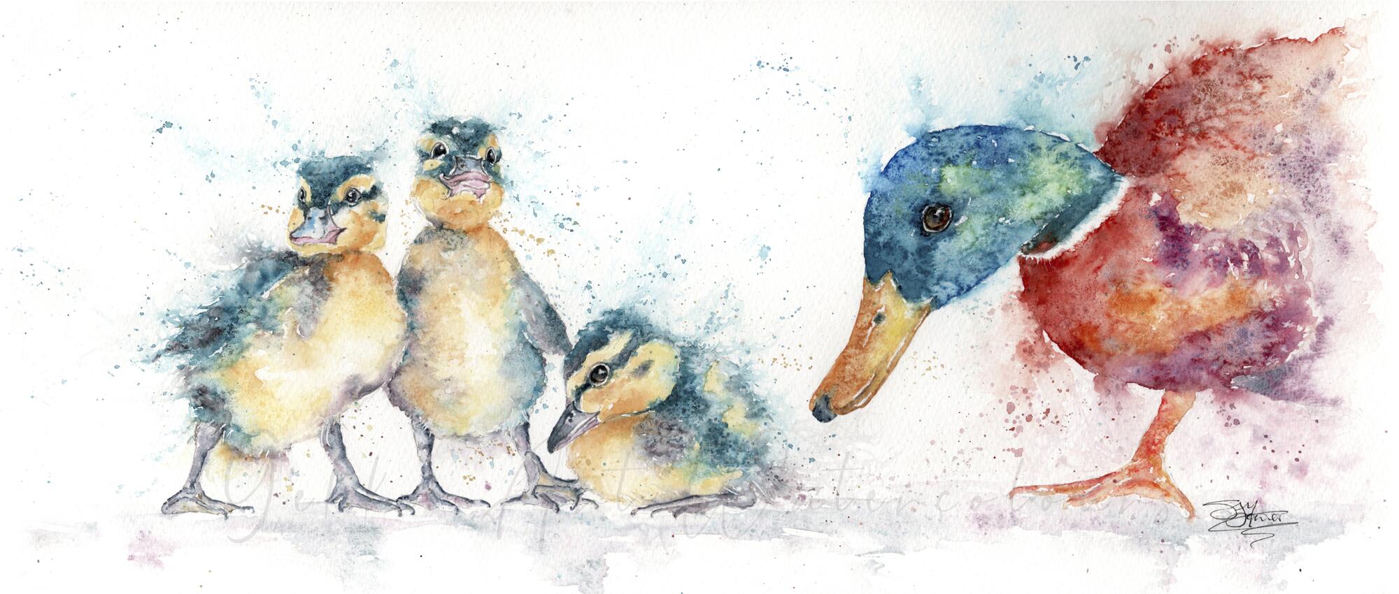 Commissions by Wildlife Artist Sandi Mower - Gekko Art