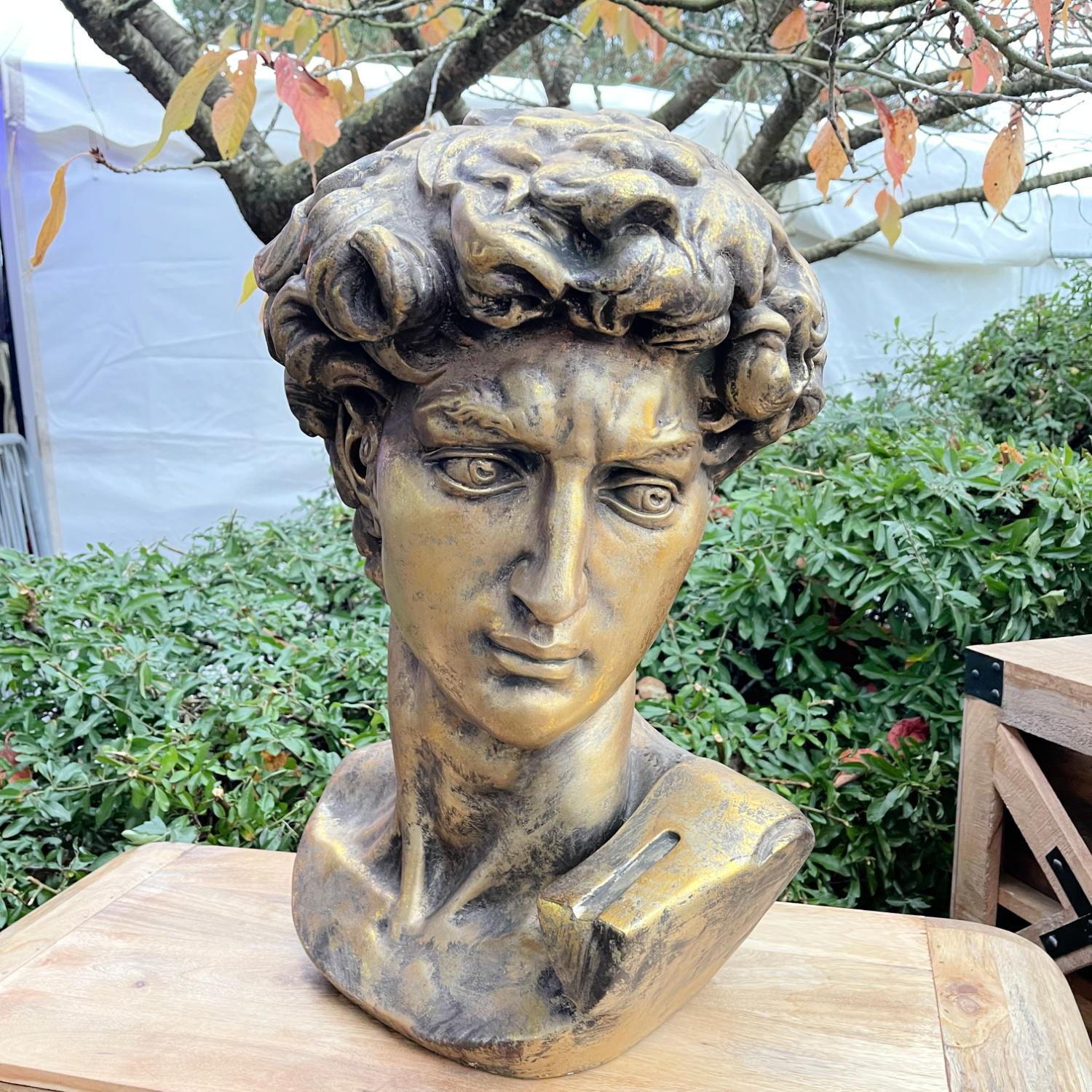 Antique Gold David Bust, Extra Large