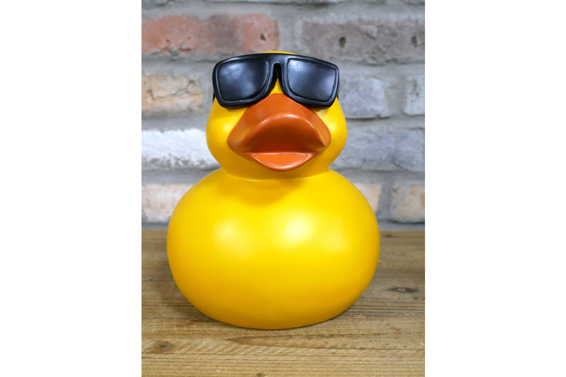 DIZZY DUCK