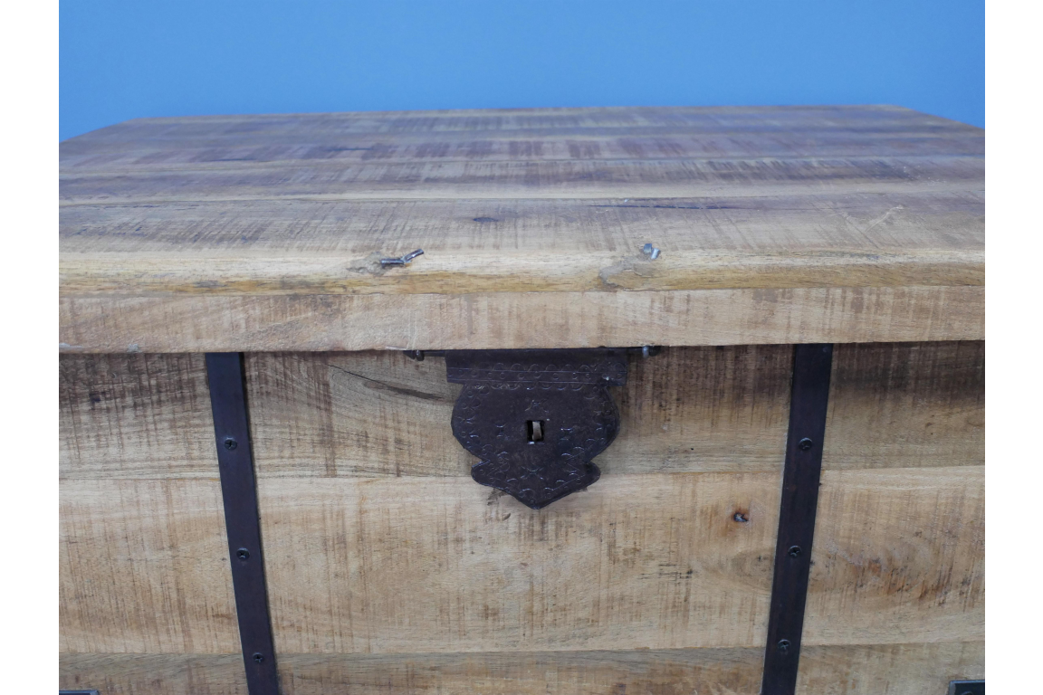 A Large Mango Wood Storage Trunk Coffee Table