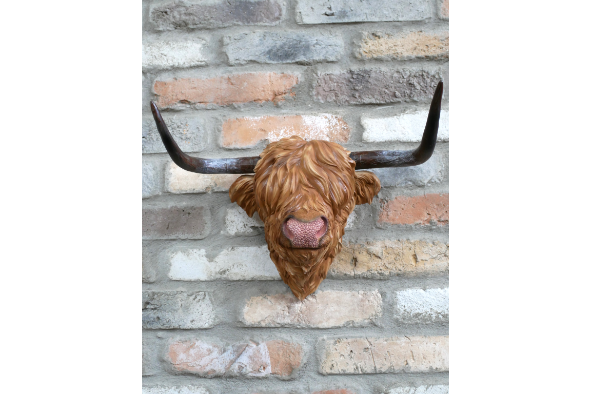 HIGHLAND COW HEAD