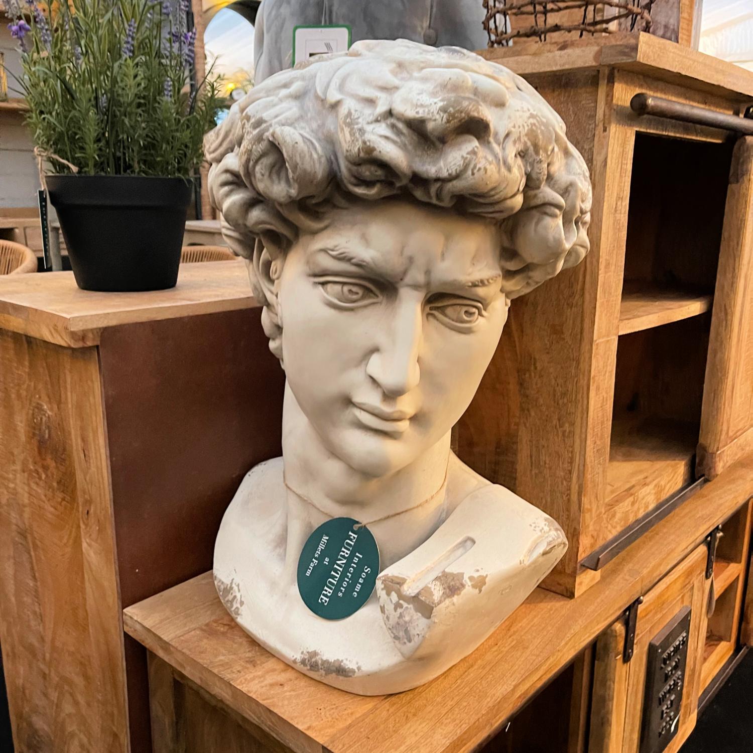 Antique White David Bust, Extra Large