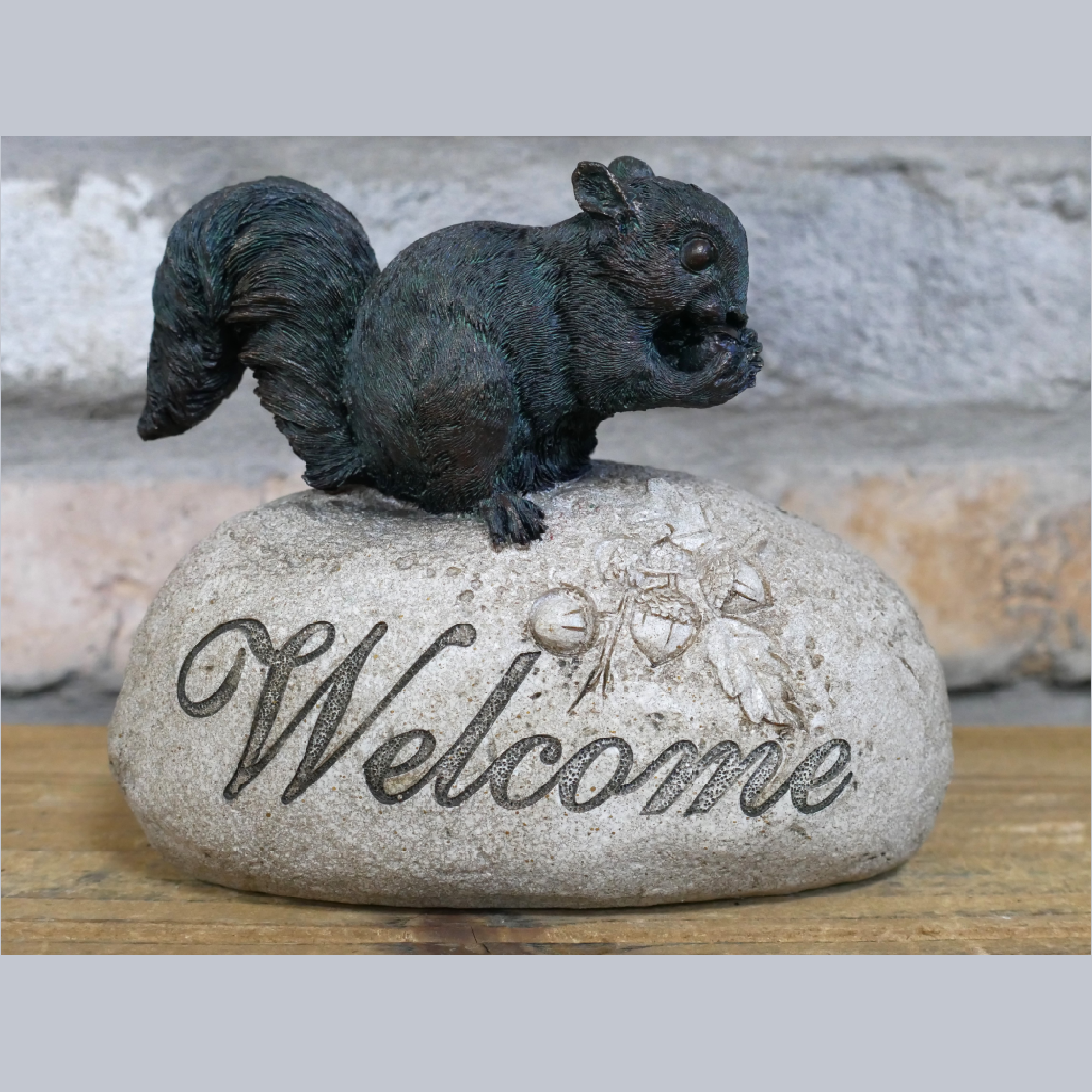 Squirrel On A Rock 'Welcome'