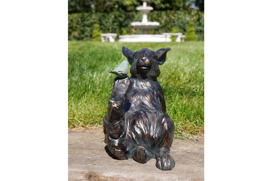 Rabbit & His Bird Friend