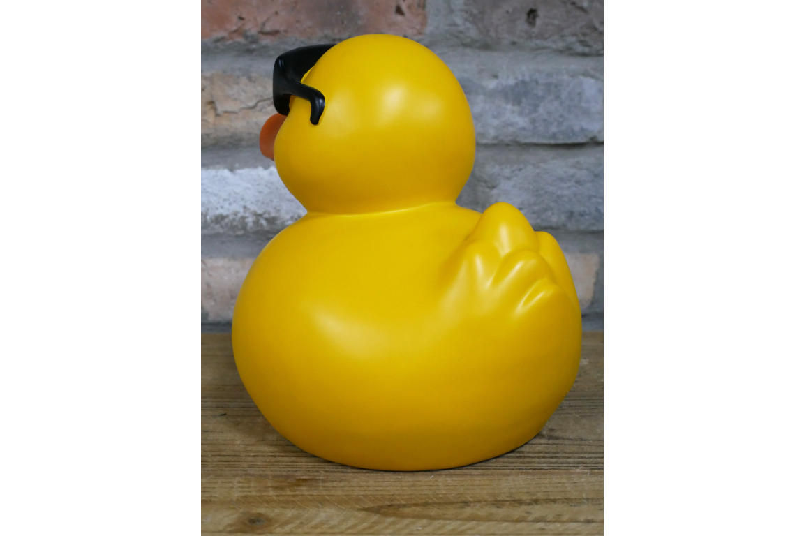 DIZZY DUCK