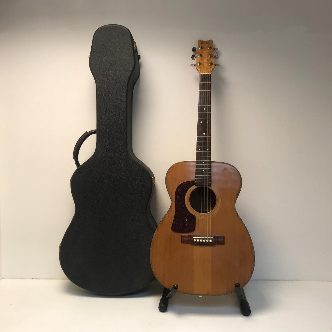 Vintage 1980's Washburn F-30 Acoustic Guitar - Left Handed