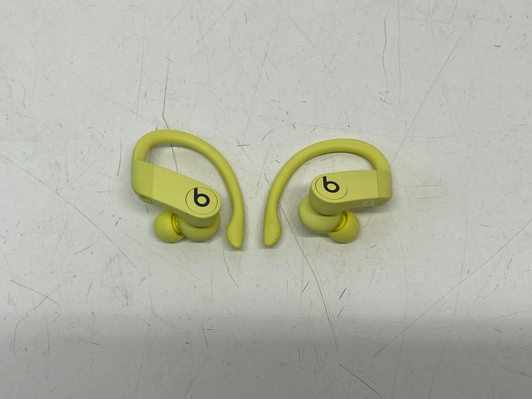 Apple Beats Power Beats Pro Wireless Earbuds