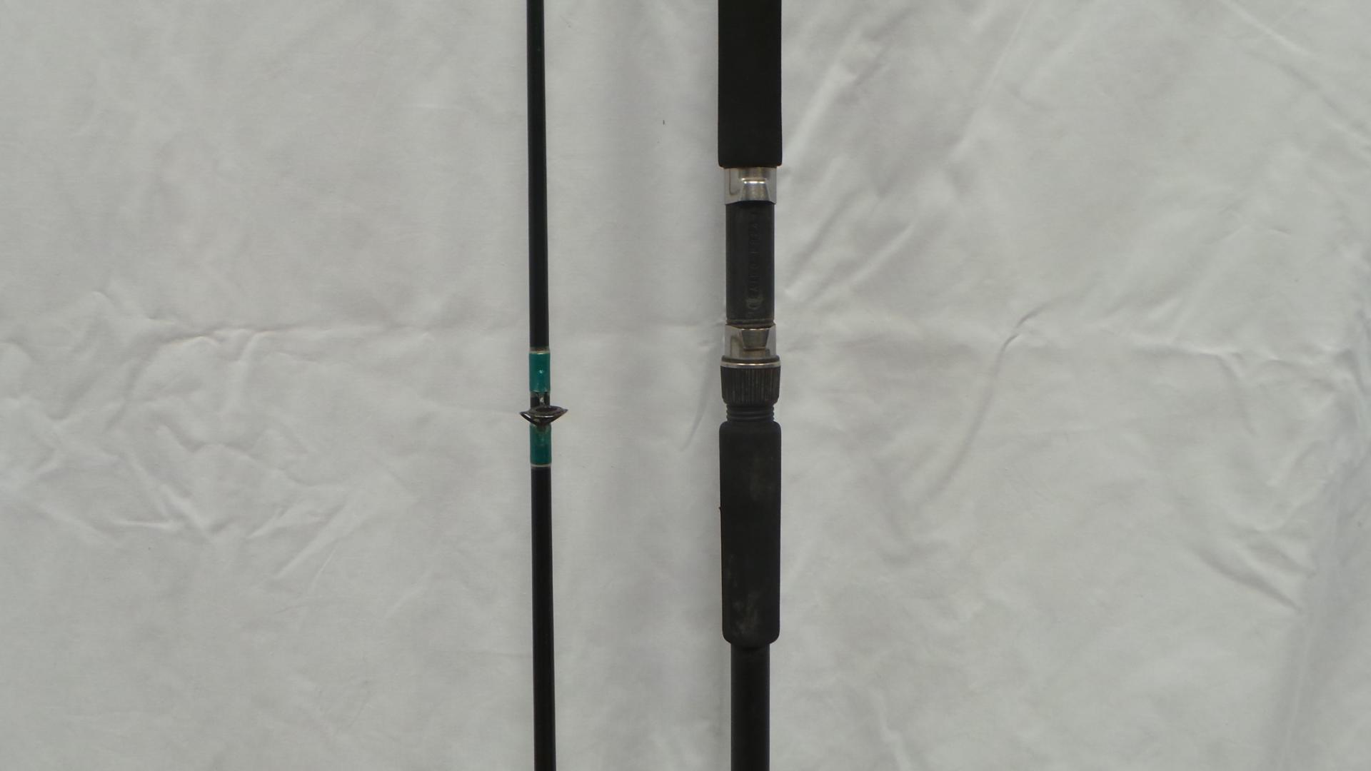 Ryobi Masterline Mastercaster 3-6 oz MC105 10' Fishing Rod