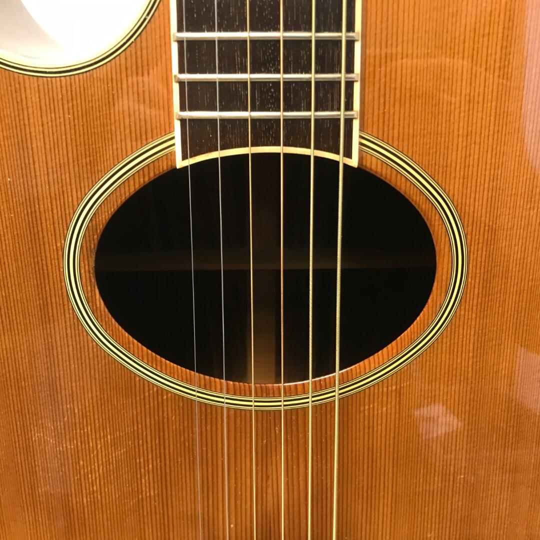 Vintage 1982 Washburn Tanglewood Full Body Electro Acoustic Guitar ...