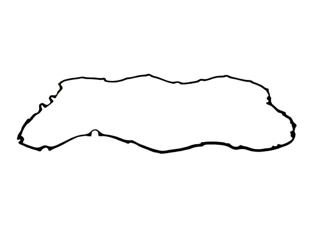 Volvo Truck, Renault Truck Engine Oil Cooler Water Jacket Gasket ...