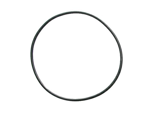 Scania O Ring, Diff Oil Filter Housing 2123725 170113