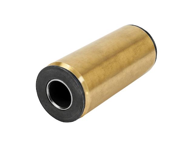 Renault Suspension Spring Bush, Front 5010060127 670064