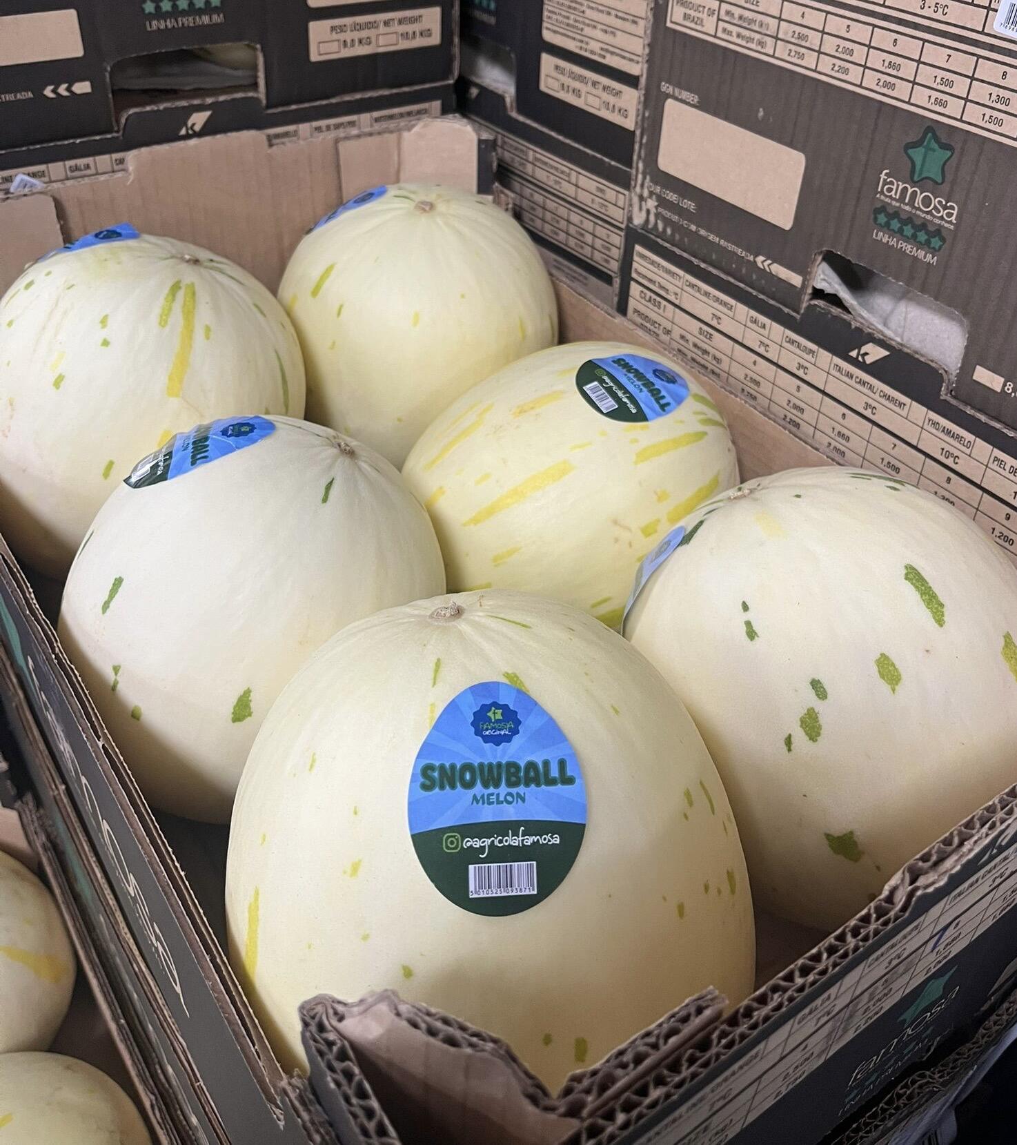 Snowball Melon