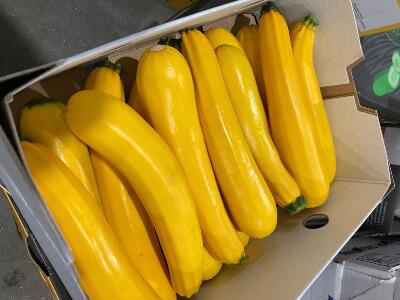 Yellow Courgette