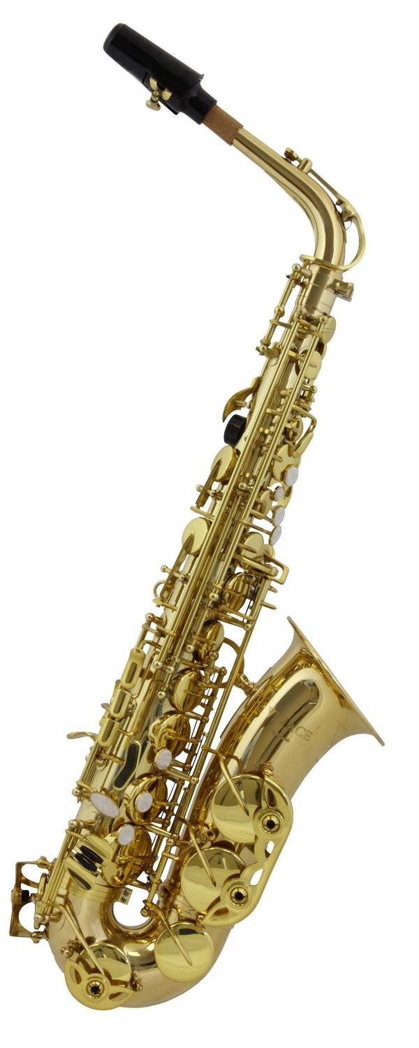Vivace by Kurioshi Alto Sax Outfit - Gold Lacquer