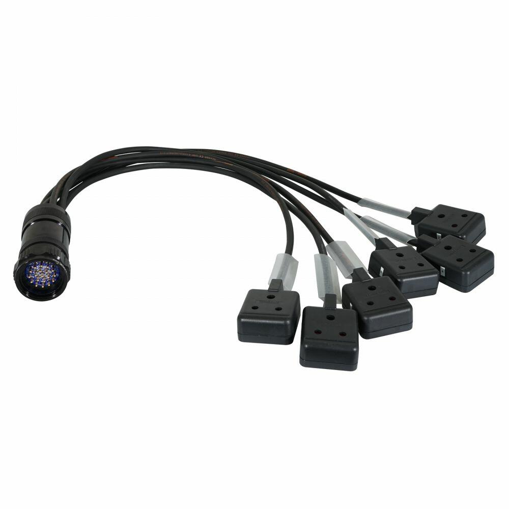 eLumen8 Socapex 19-Pin Male - 15A Female 1.5mm 1m Fan-Out Lead - Stagegear