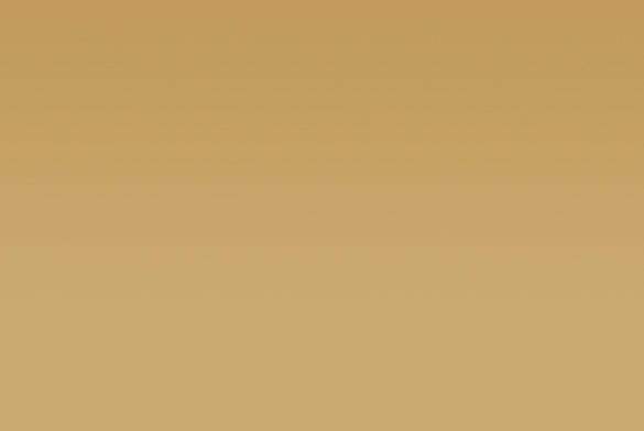 LEE Filter 274 Mirror-Gold Filter Roll, 6.1m x 1.37m