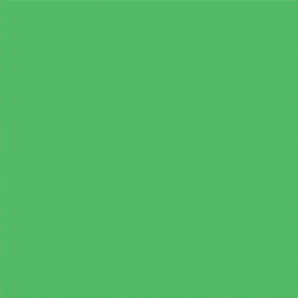 FX Lab Coloured Gel Sheet 48x21 Colour Pale Green 138