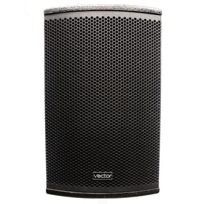 Vector Audio WS-10 Mk2 Speaker Black 10 2 Way 300w 8ohm