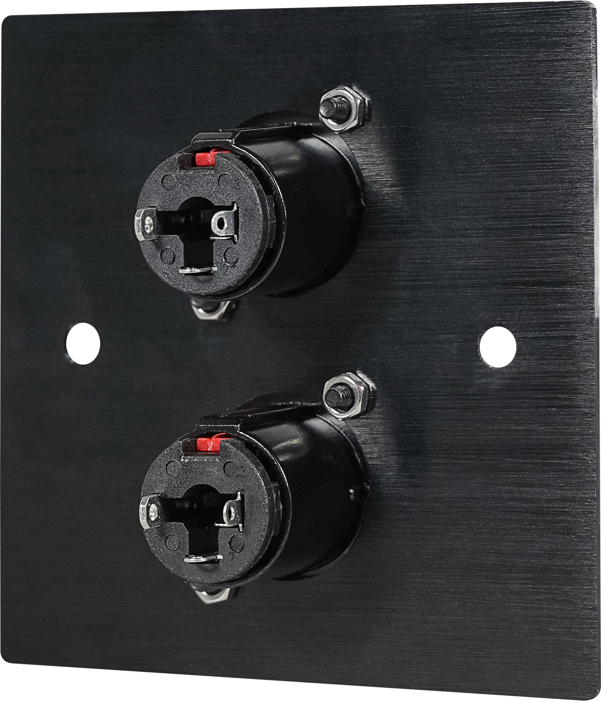 Eagle 2 x 6.3mm Jack Socket Wall Plate, F267VP