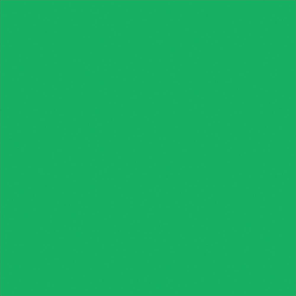 FX Lab Coloured Gel Sheet 48x21 Colour Primary Green 139