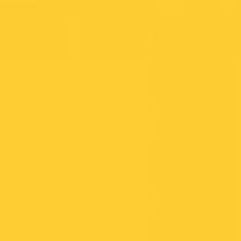 LEE Filter 102 Light Amber Filter Sheet, 21" x 48"