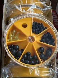 Box of 10 bead dispensers