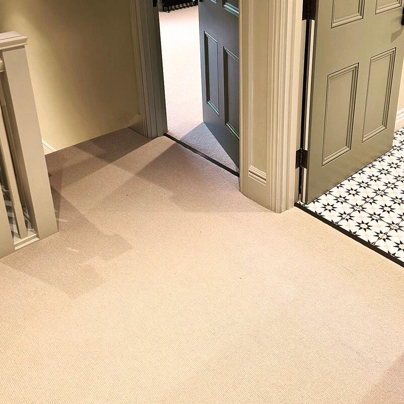 Textured Loop Carpet