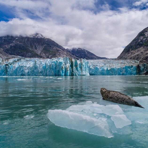 Iceland & Alaska Inside Passage on Holland America Zaandam with 4 ...