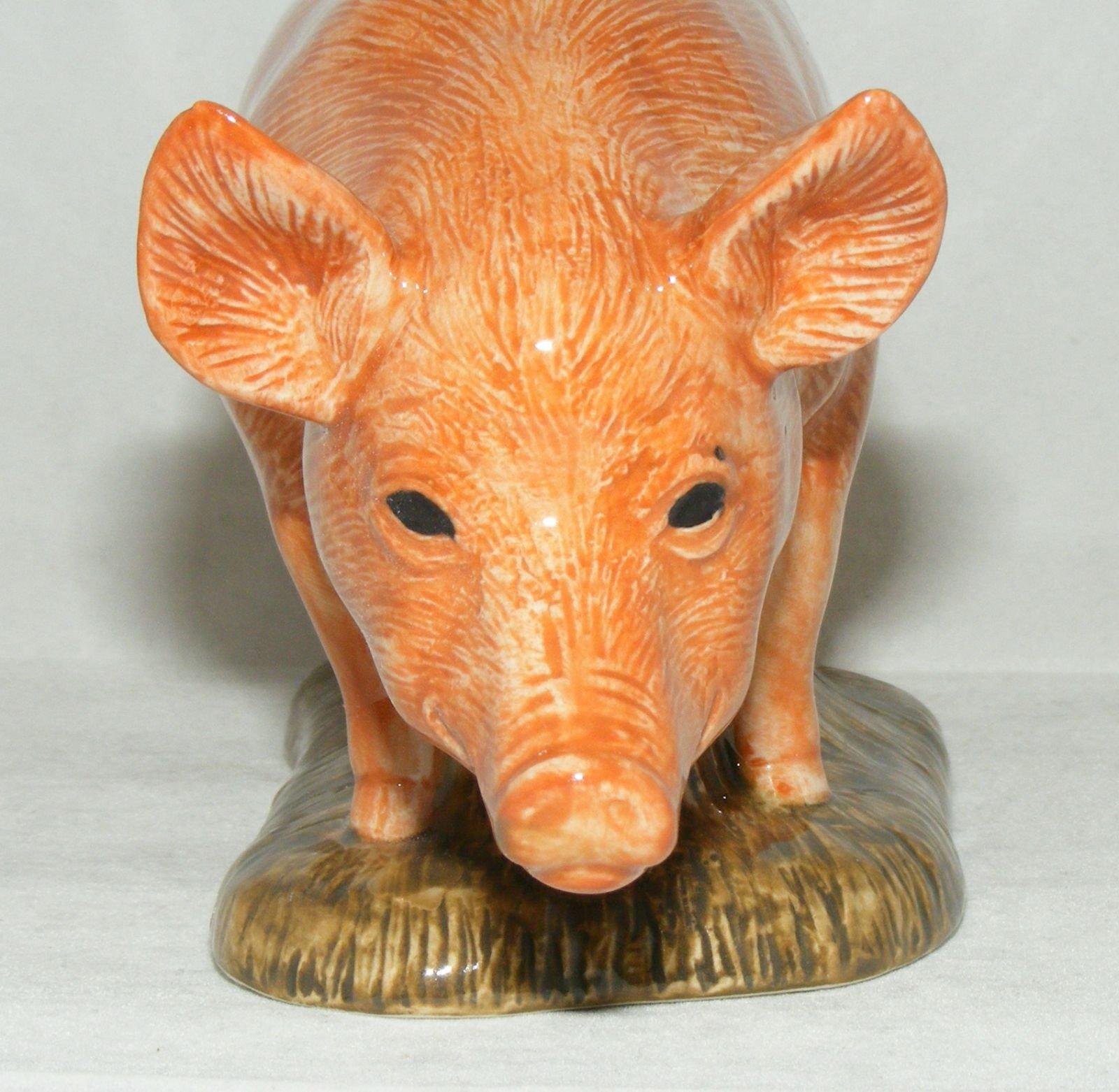Quail Ceramics Tamworth Pig Money Box 466
