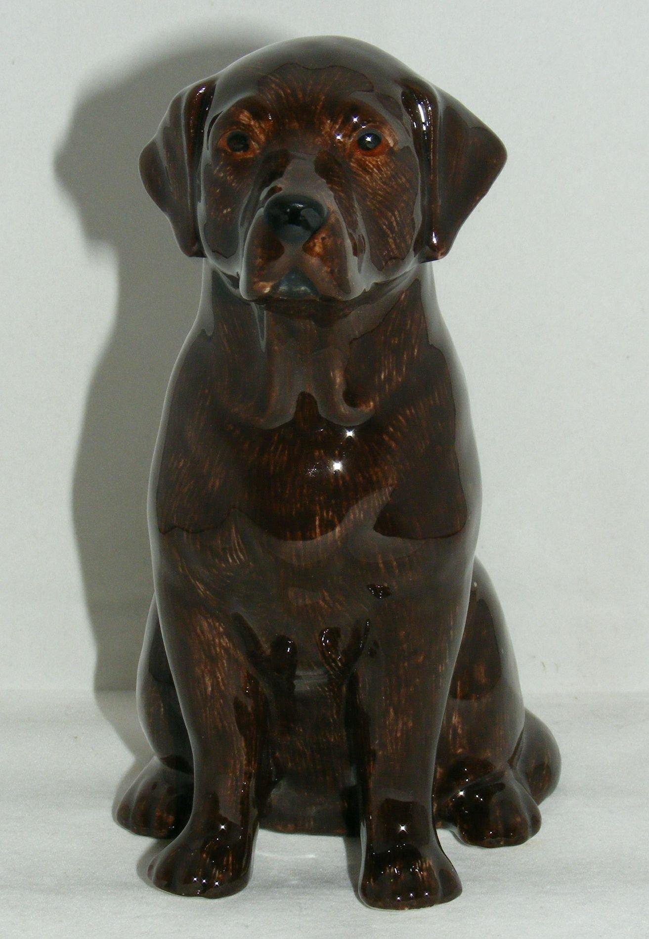 Quail Ceramics Labrador Money Box Chocolate 661