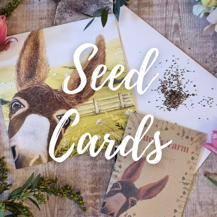 Wildflower Seed Cards