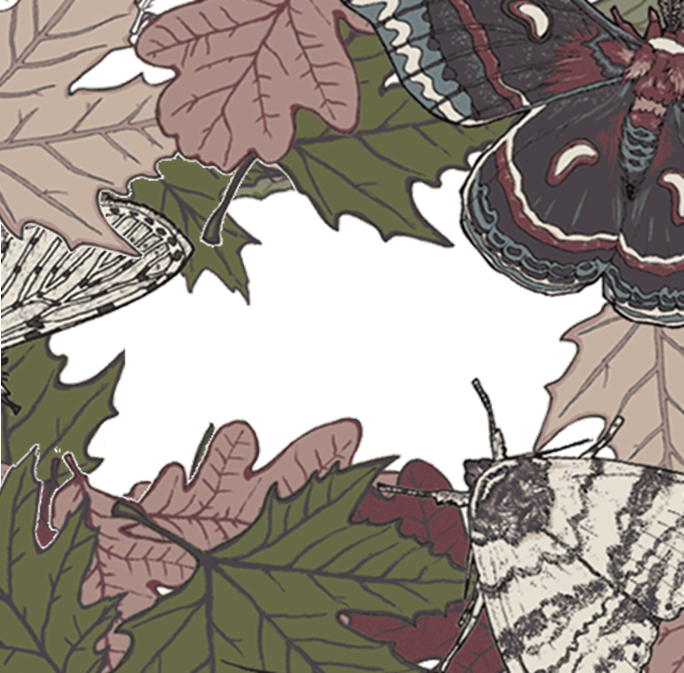 Farrow & Ball New Colours