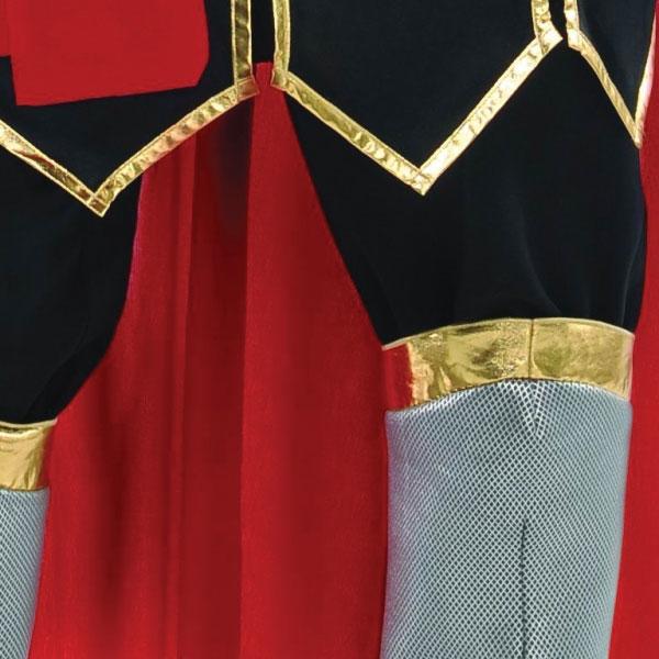 Brave Crusader Adult Fancy Dress Costume