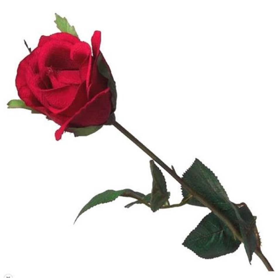 Long Stemmed Single Red Rose 59cm itm:SF0362R | Karnival Costumes