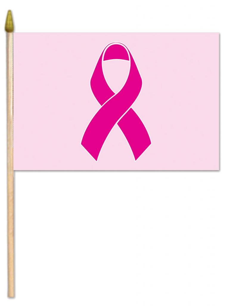 Pink Ribbon Flag for Wear it Pink by Beistle 54296 - Karnival Costumes